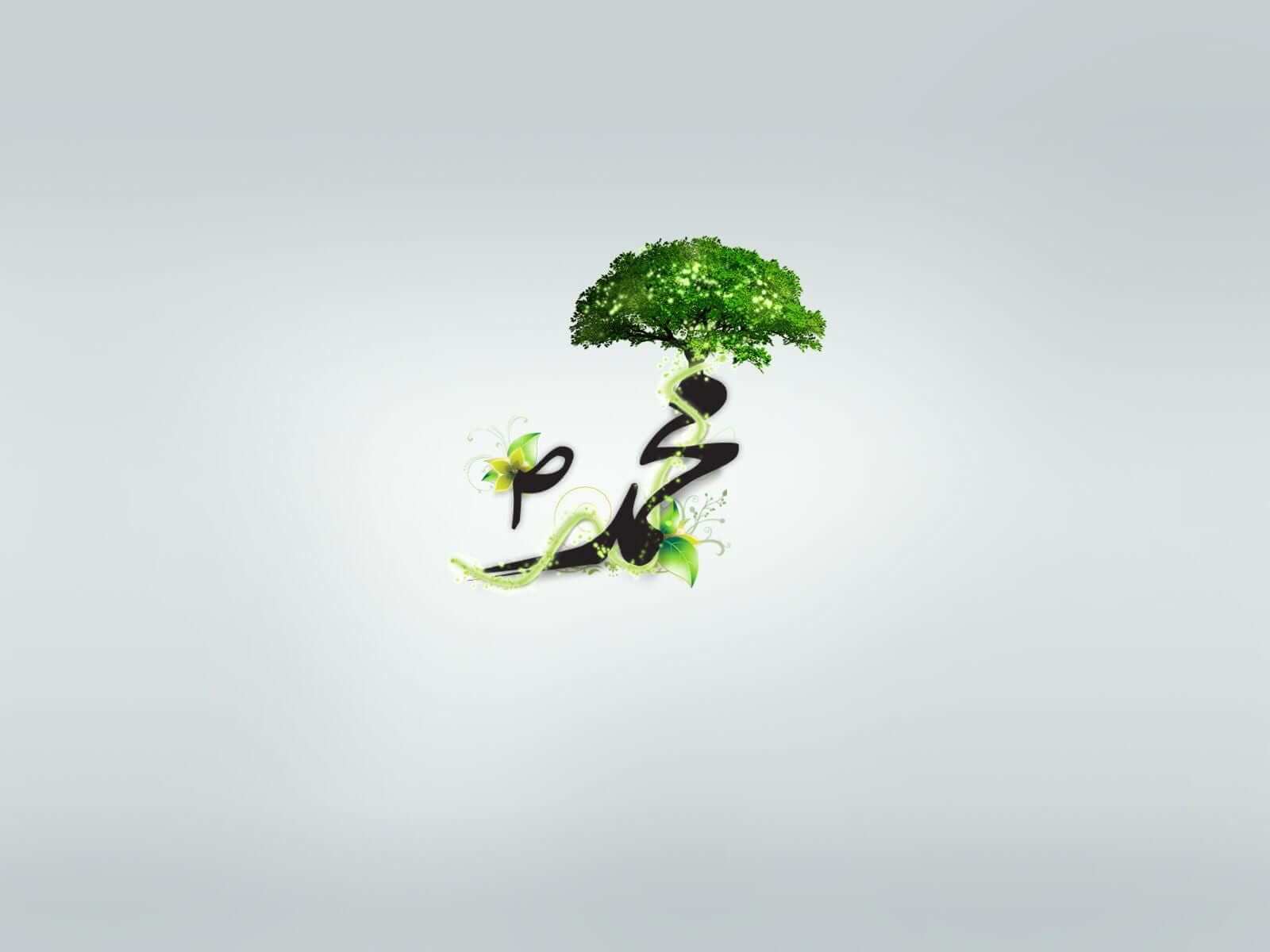 Home - The official website of Maulana Abdul Salam Abid